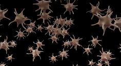 Oncology and Hematology - MedEd On The Go