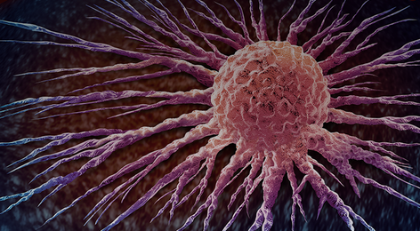 Oncology and Hematology - MedEd On The Go