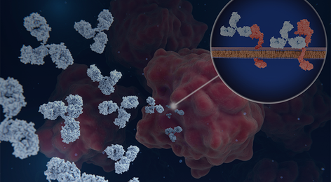 Oncology and Hematology - MedEd On The Go