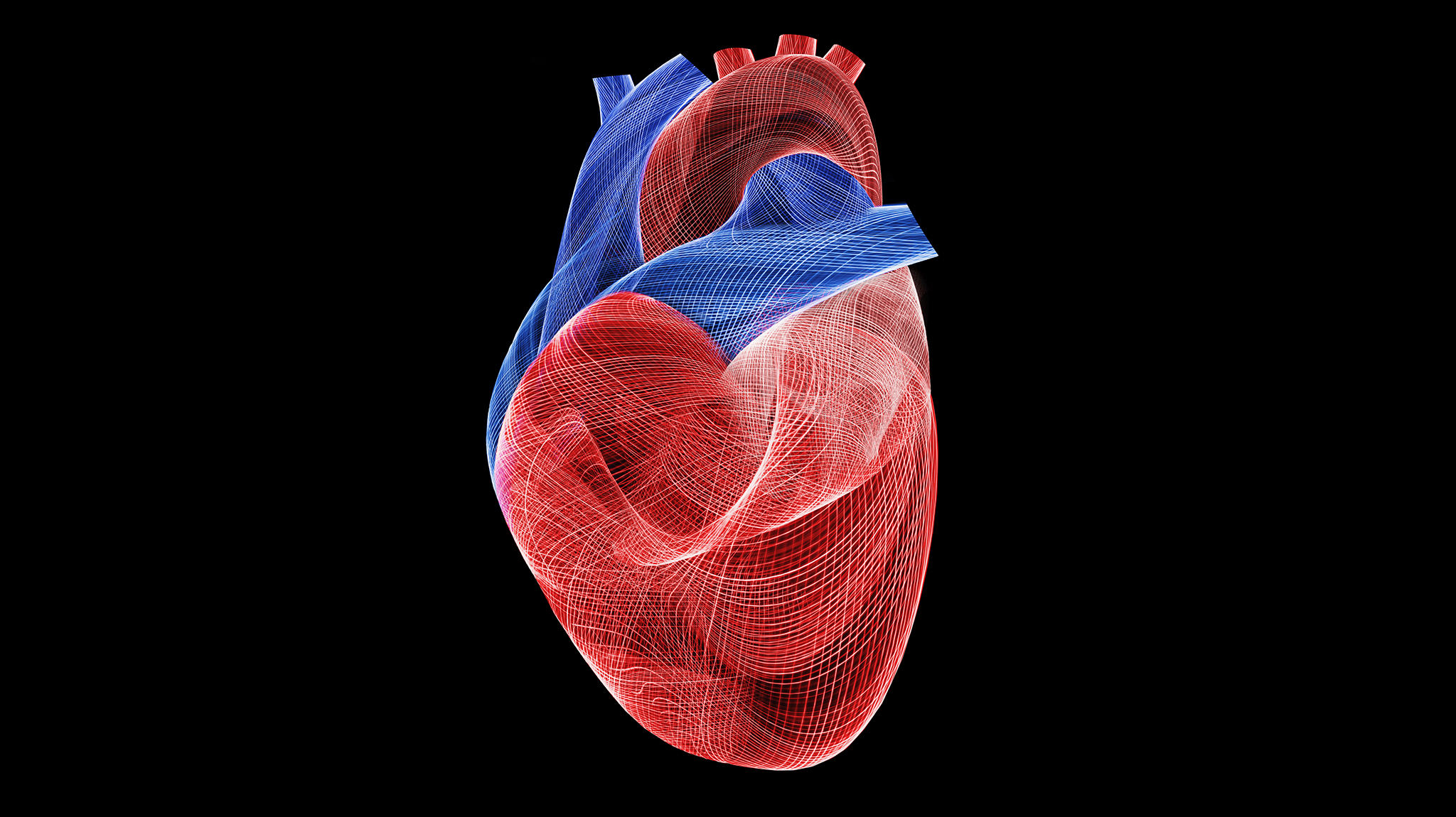 Cardiology - MedEd On The Go