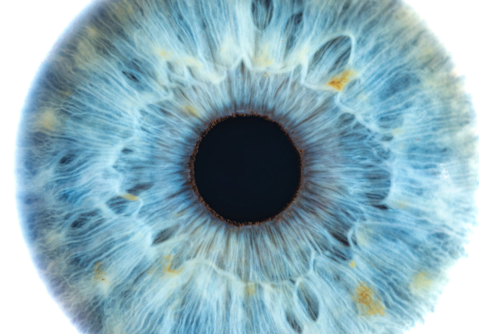 The World’s First Whole-Eye and Partial-Face Transplant Recipient ...