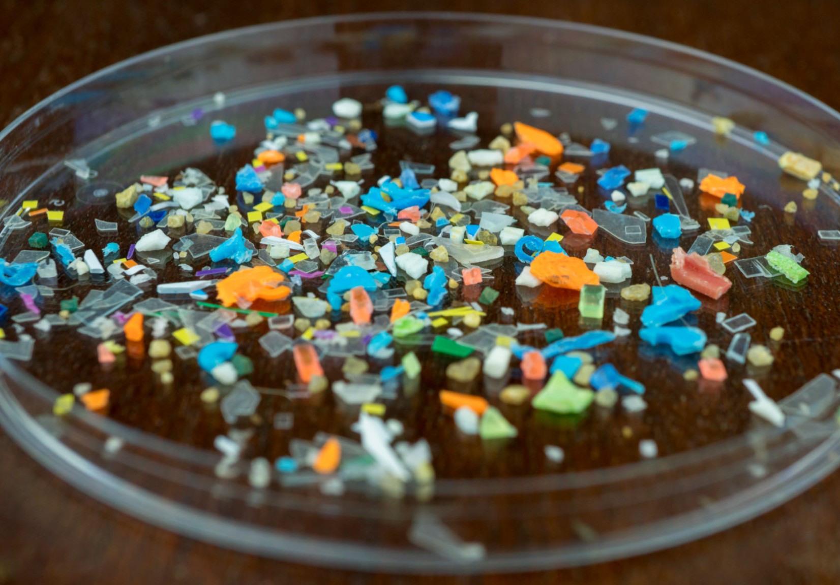 Microplastics in the Air May Be Leading to Lung and Colon Cancers ...